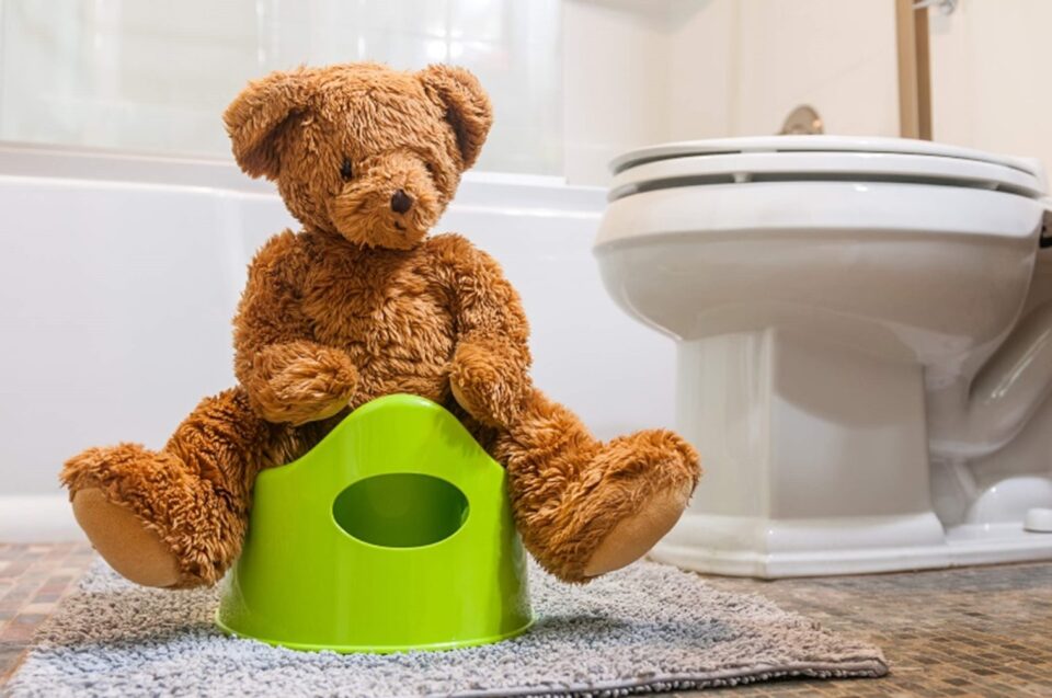 The Ultimate Guide to Potty Training